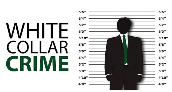 White collar crime lawyers store